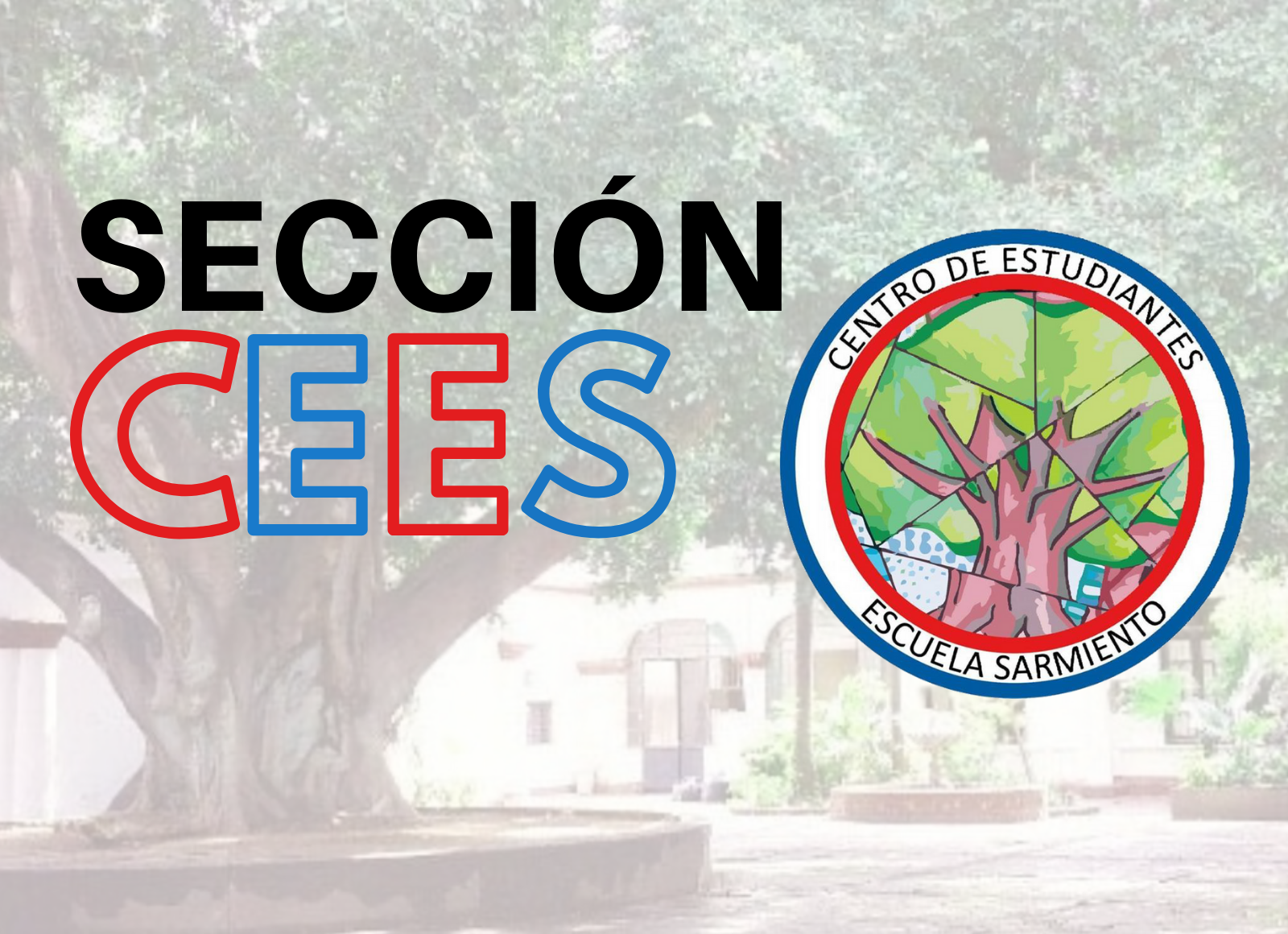 ¿Qué es el CEES? - Así Somos Digital